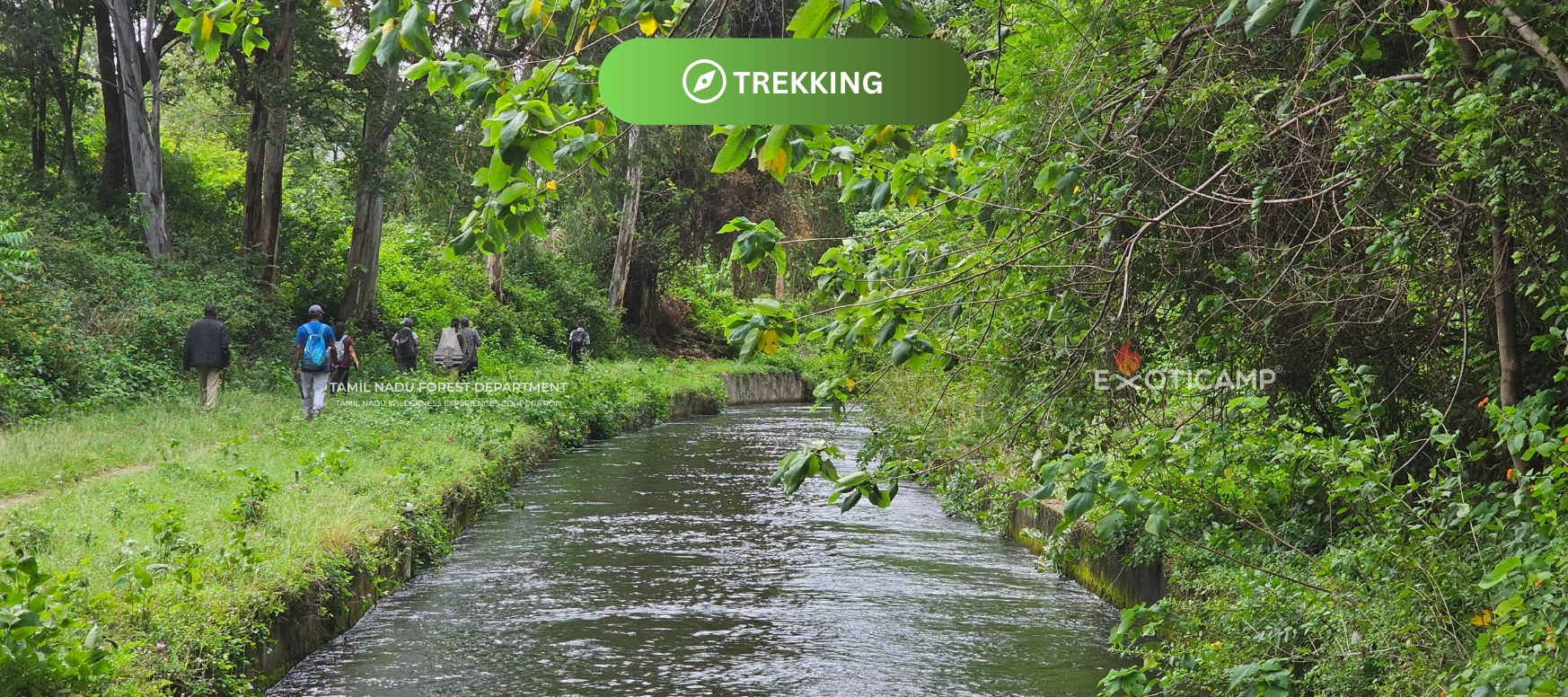 Aliyar Canal Bank Trek- Forest Walk in Pollachi